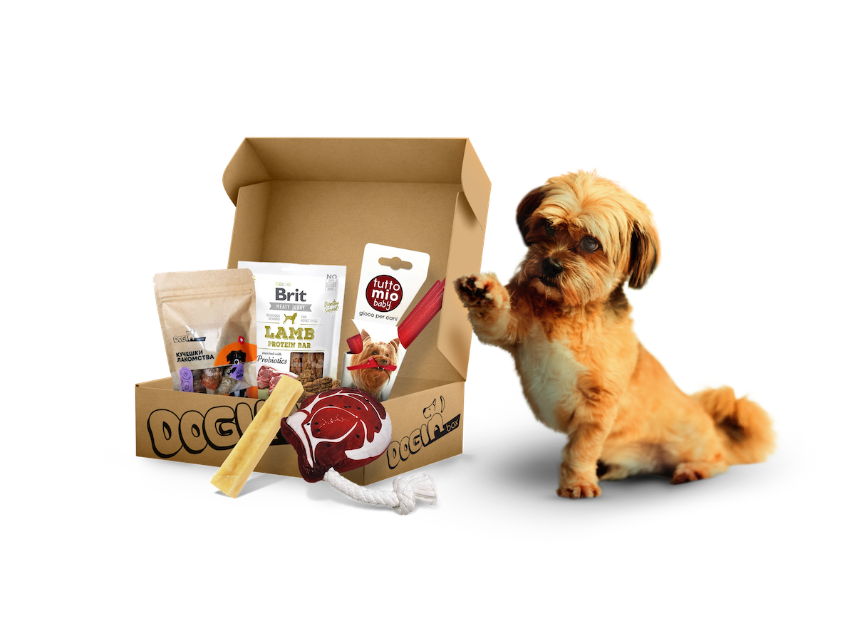 DOGIN' - Premium treats and toys, tailored to your doggo's needs