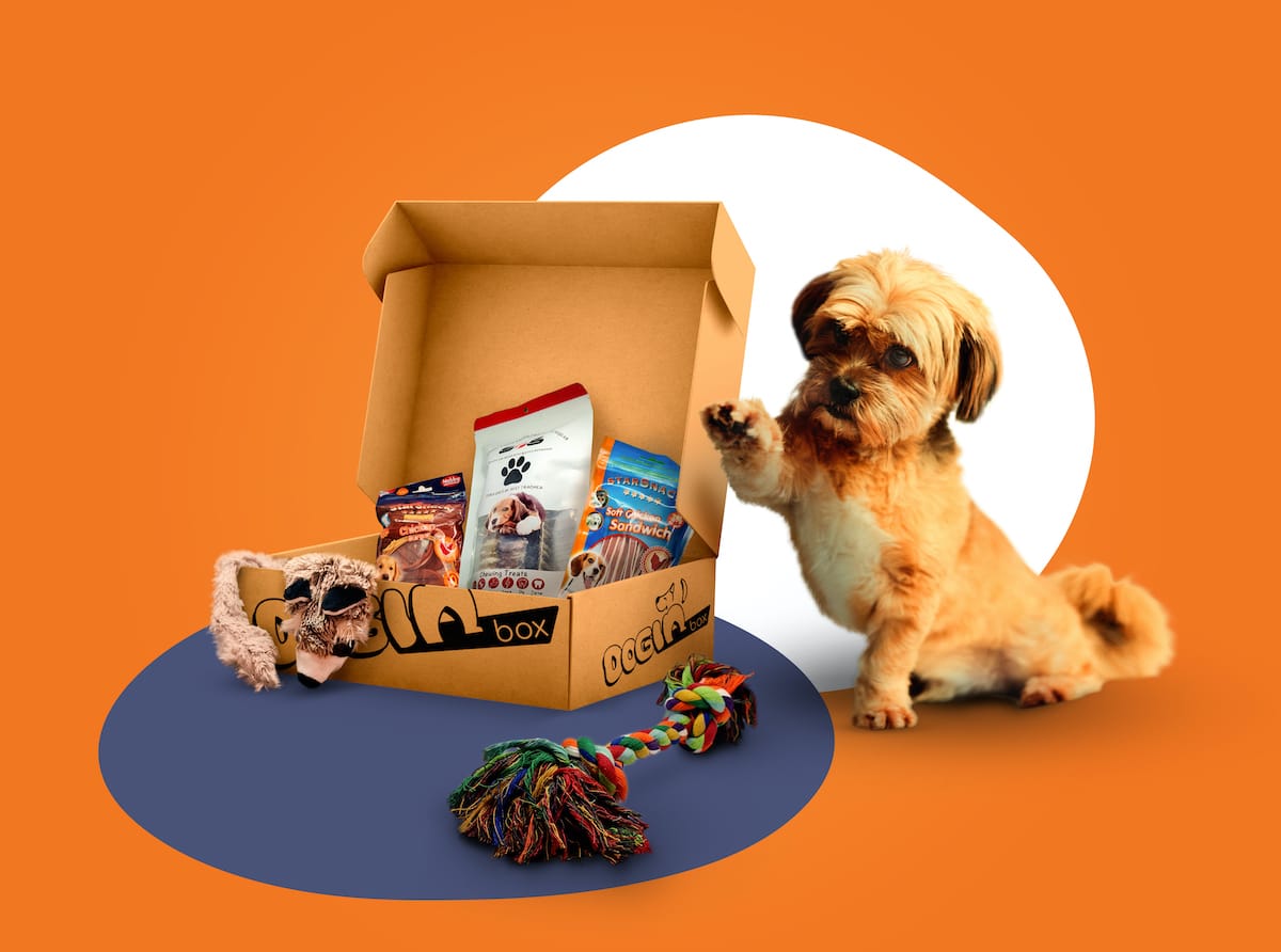 DOGIN' - Premium treats and toys, tailored to your doggo's needs